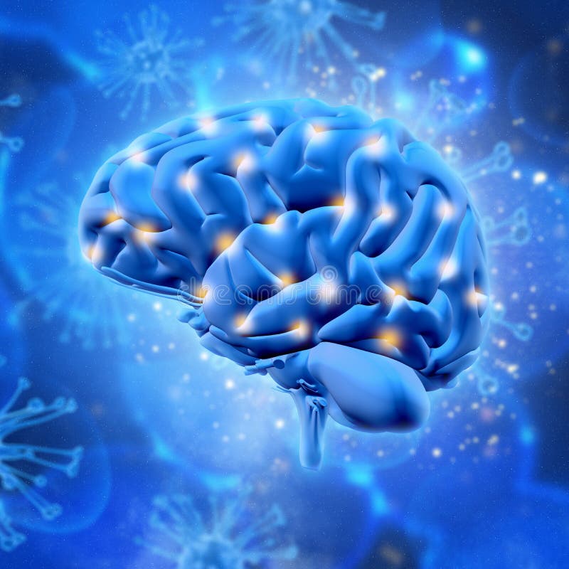 3D Brain with Various Points Highlighted Stock Illustration ...