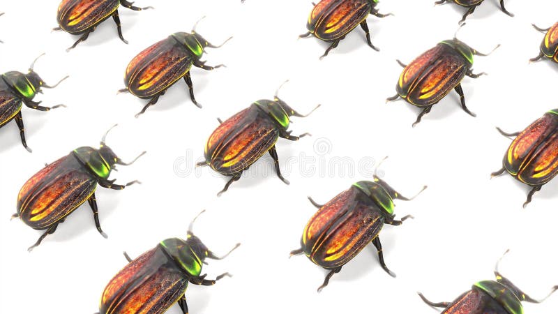 3D Bug Pattern Simply Animation for White Bg 3d Stock Illustration ...