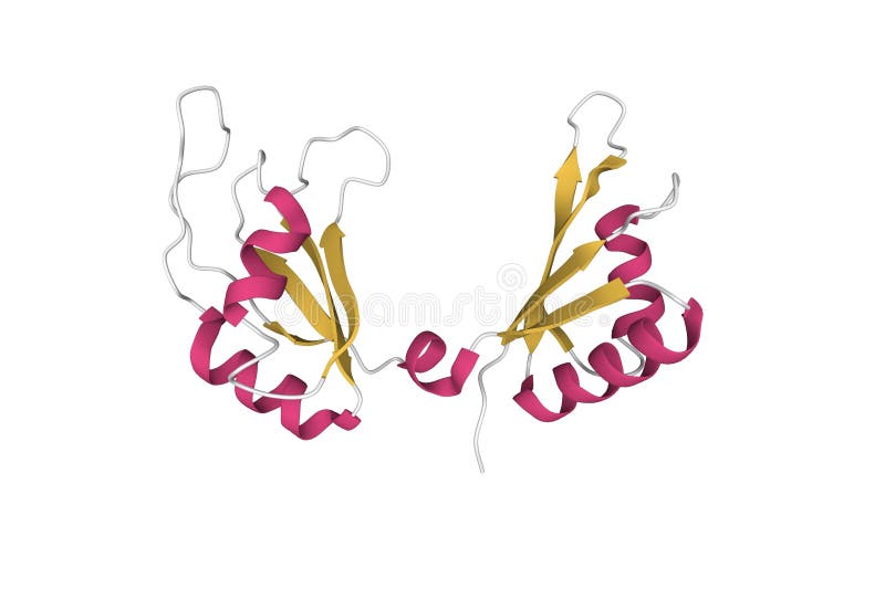 Pdb 7c36 Stock Illustrations – 2 Pdb 7c36 Stock Illustrations, Vectors ...