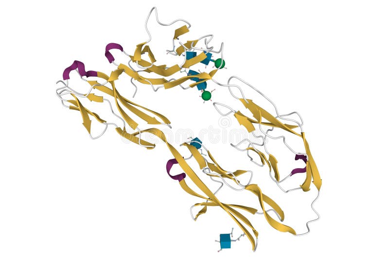 Netrin 1 Stock Illustrations – 2 Netrin 1 Stock Illustrations, Vectors ...
