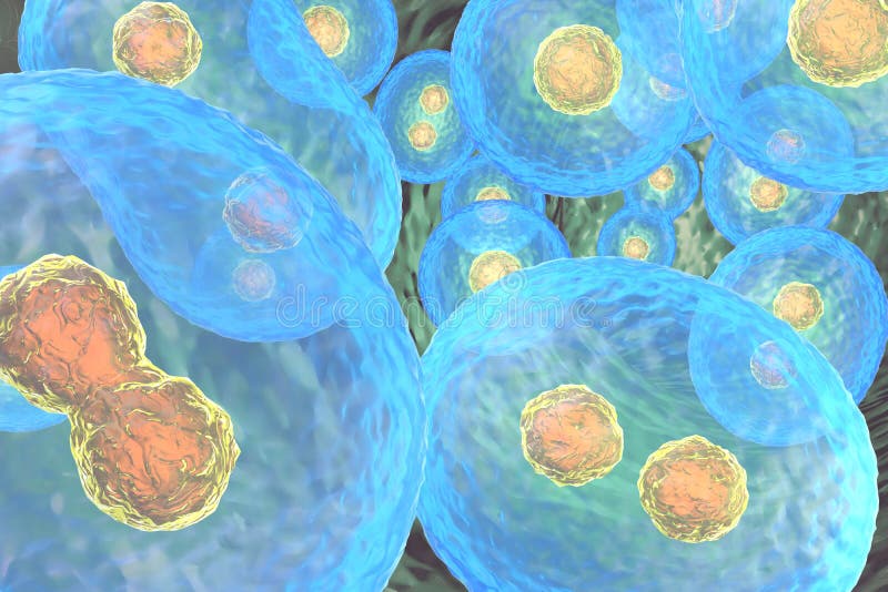 3D Cell Floating stock illustration. Illustration of molecular - 51947682