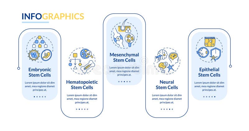 2D Cell Therapy Layout with Creative Line Icons Concept Stock Vector ...