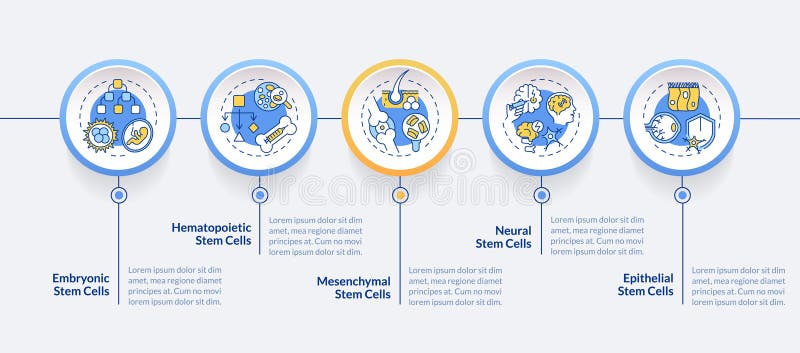 2D Cell Therapy Layout with Simple Linear Icons Concept Stock Vector ...