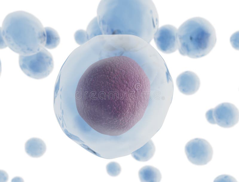 3D Cells on White Background Stock Illustration - Illustration of ...