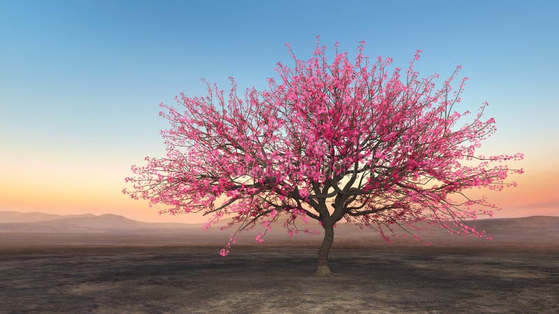 3D CG-Darstellung Der Sakura-Landschaft Stock Abbildung - Illustration ...