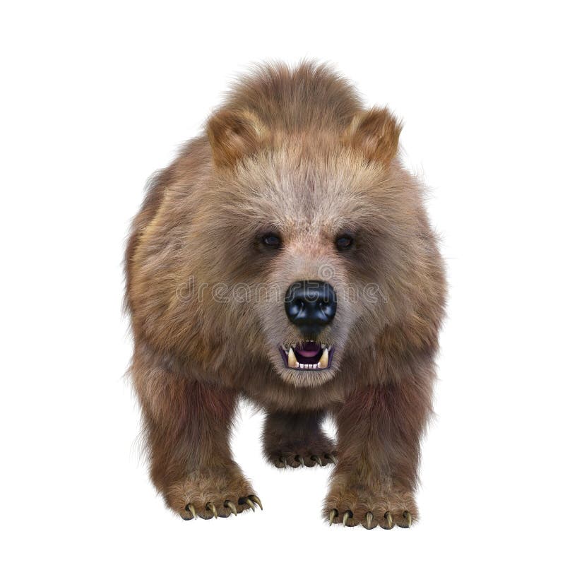 3D CG rendering of Bear stock illustration. Illustration of mammal ...