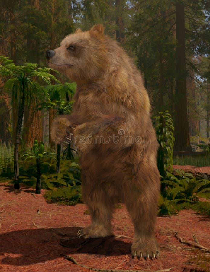 3D CG rendering of Bear stock illustration. Illustration of cute ...
