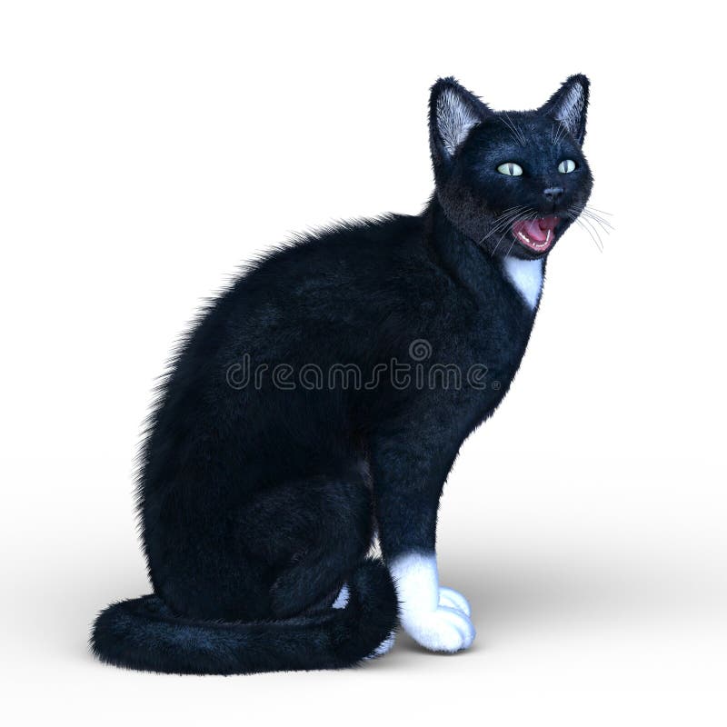 3D CG rendering of cat stock illustration. Illustration of cute - 154471014