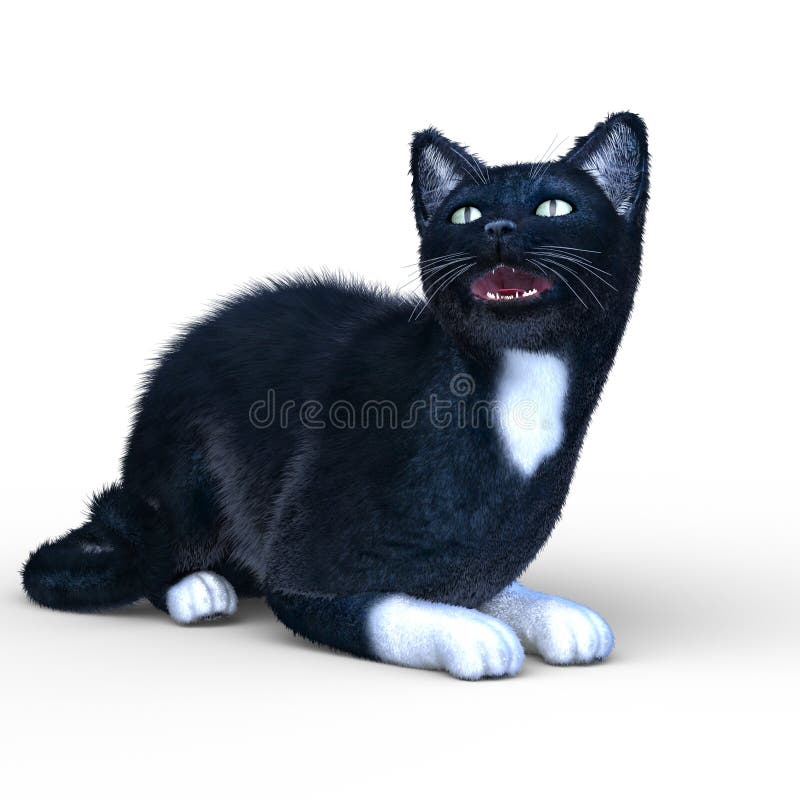 3D CG rendering of cat stock illustration. Illustration of lovely ...