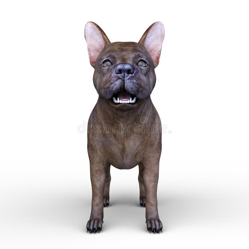 3D CG rendering of dog stock illustration. Illustration of animals ...