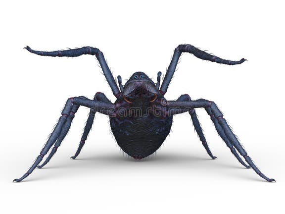3D CG rendering of spider stock illustration. Illustration of spiders ...