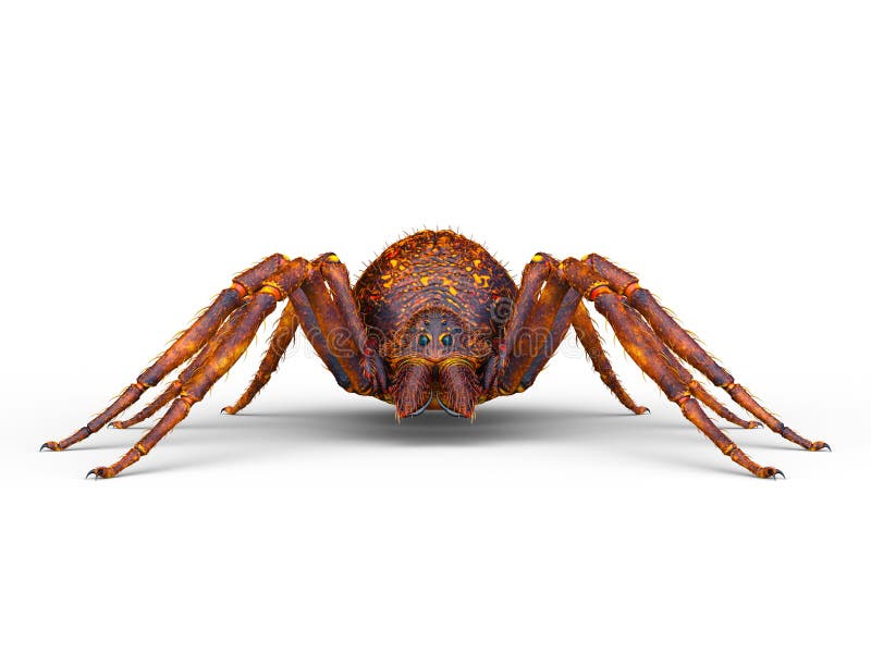 3D CG rendering of spider stock illustration. Illustration of rendering ...