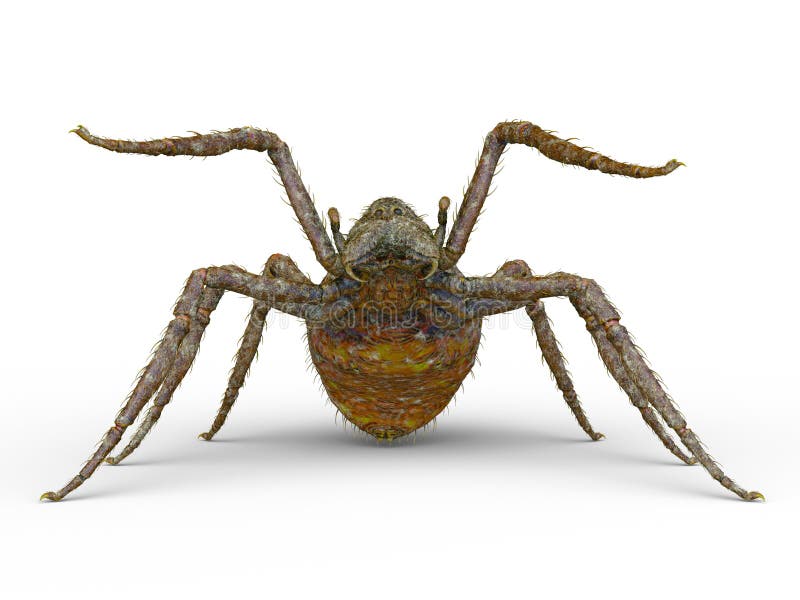 3D CG rendering of spider stock illustration. Illustration of ...