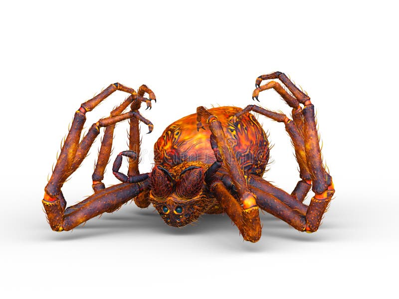 3D CG rendering of spider stock illustration. Illustration of poisons ...