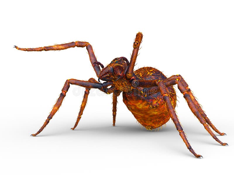 3D CG rendering of spider stock illustration. Illustration of rendering ...