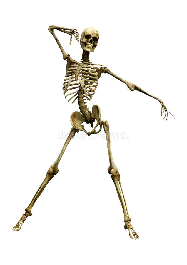 Rendering 3D Di Uno Scheletro Umano Su Sfondo Bianco Fotografia Stock ...