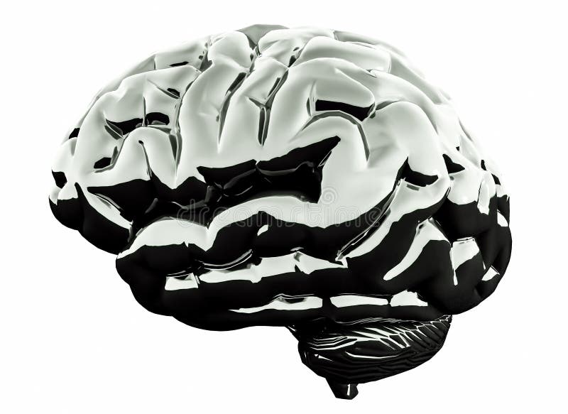3D Chrome Metallic Brain On White Background. 3D Illustration Stock ...