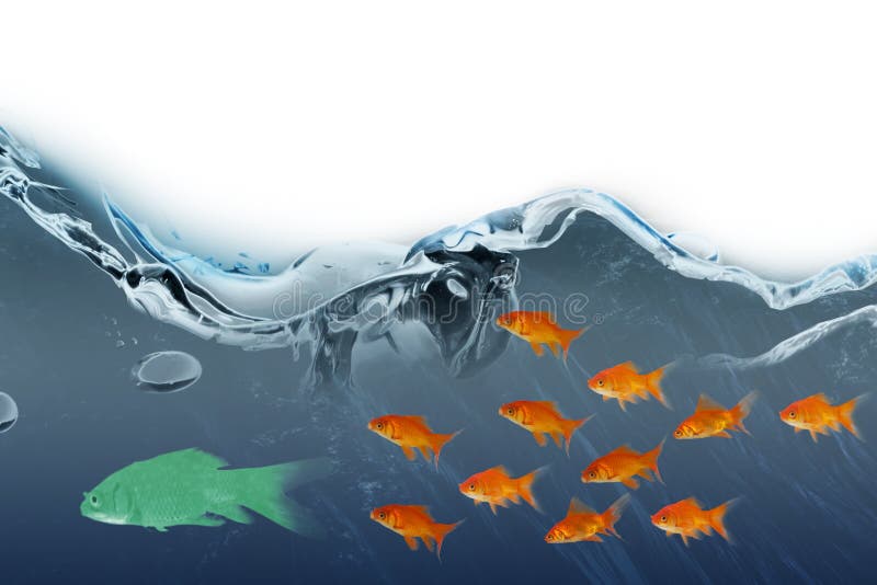 3D Composite Image of Side View of Fish Swimming Stock Image - Image of ...