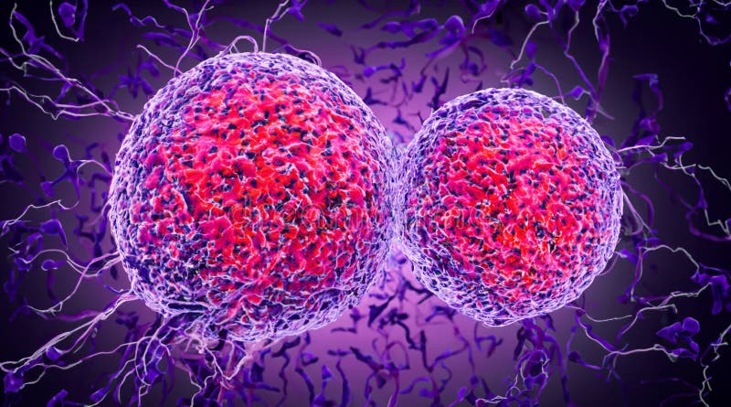 A Microscopic View of a Cancer Cells Splitting. Stock Illustration ...