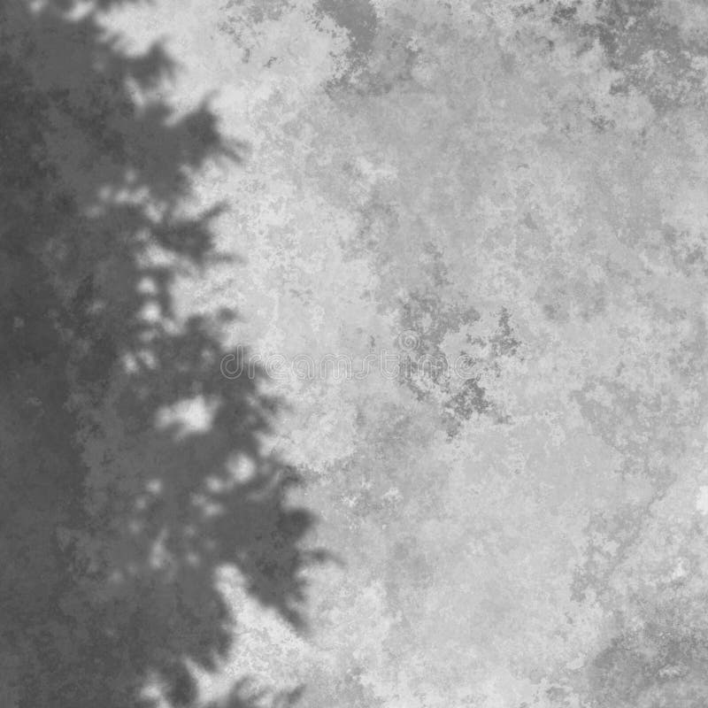 3D Concrete Texture Background with Tree Shadow Overlay Stock Image ...
