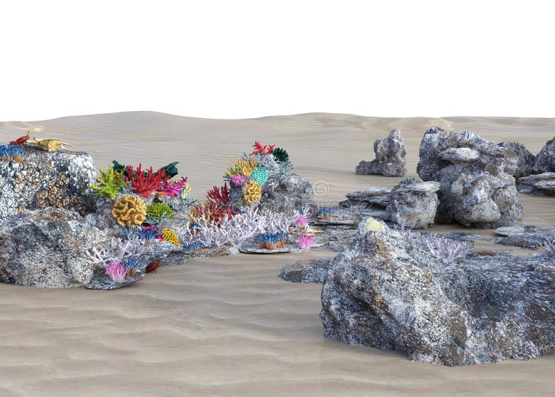 3D Coral reef stock illustration. Illustration of surface - 277692036