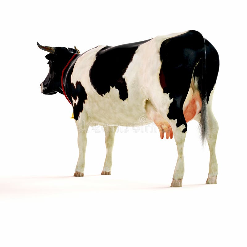 Cow Render Stock Illustrations – 1,825 Cow Render Stock Illustrations ...
