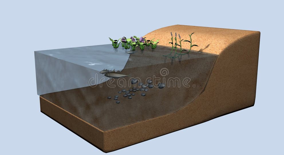 Lake Cross Section Stock Illustrations – 172 Lake Cross Section Stock ...