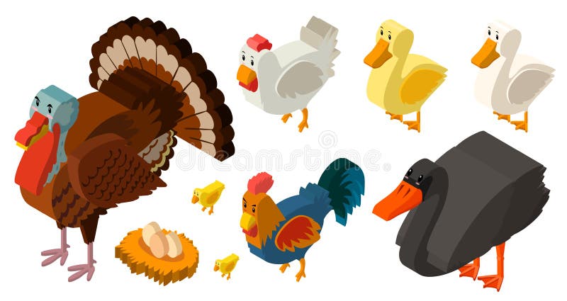 3D Design for Different Types of Farm Birds Stock Vector - Illustration ...