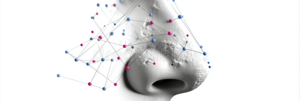 Detailed 3D Diagram Illustrating the Steps of Nose Reshaping with Data ...