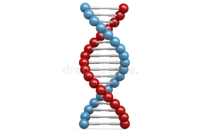 DNA Model with Blue and Red Element Stock Illustration - Illustration ...