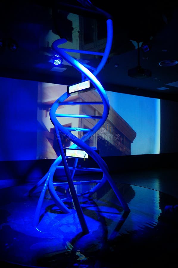DNA model editorial stock photo. Image of research, nanjing - 91971208