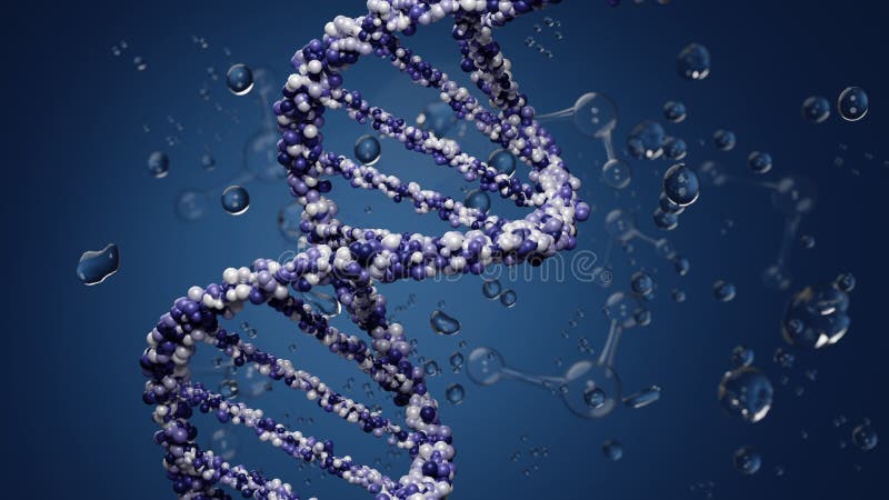 3d Dna Structure Animation