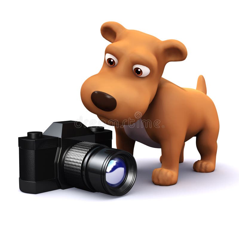 Dog with a camera stock vector. Illustration of cartoon - 48520654