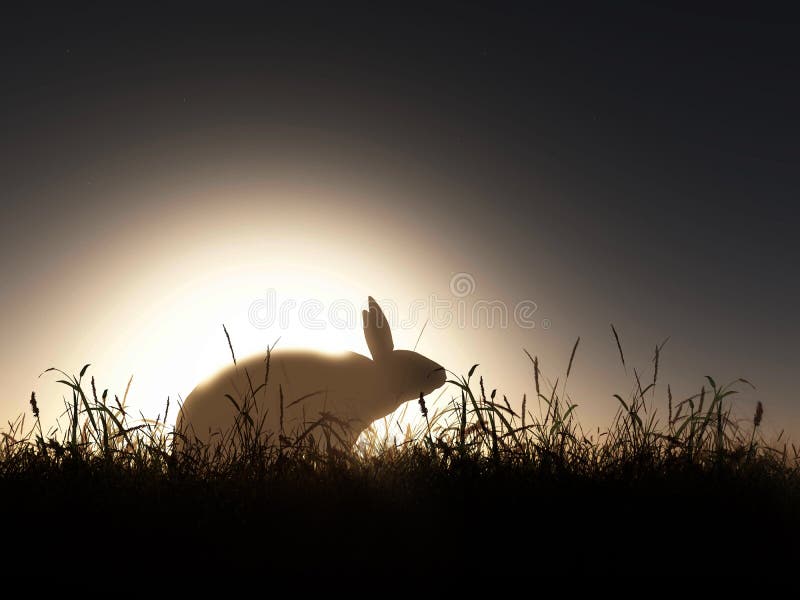 Rabbit Sunset Stock Illustrations – 5,267 Rabbit Sunset Stock ...