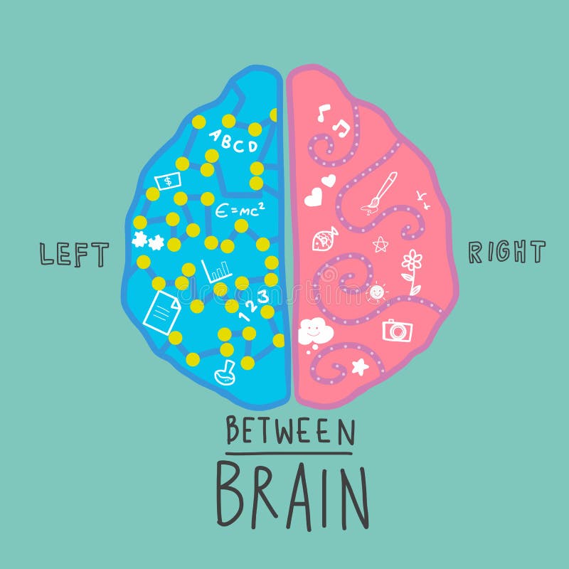 Left and Right Brain Infographic Vector Illustration Stock Vector ...