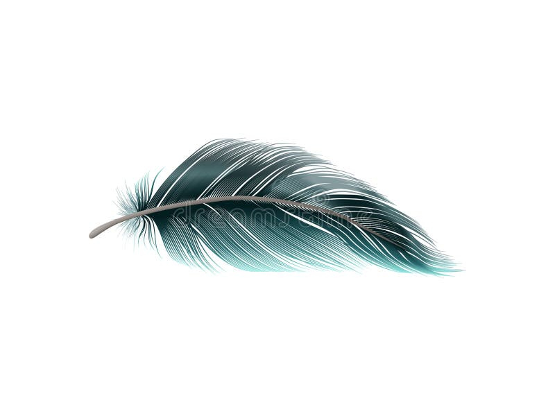 3D Feather Vector Illustration. Beautiful Feather on White Background ...