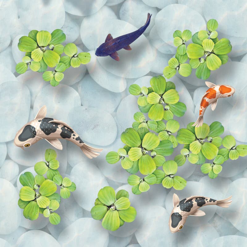 Koi Fish Top View Stock Illustrations – 512 Koi Fish Top View Stock ...