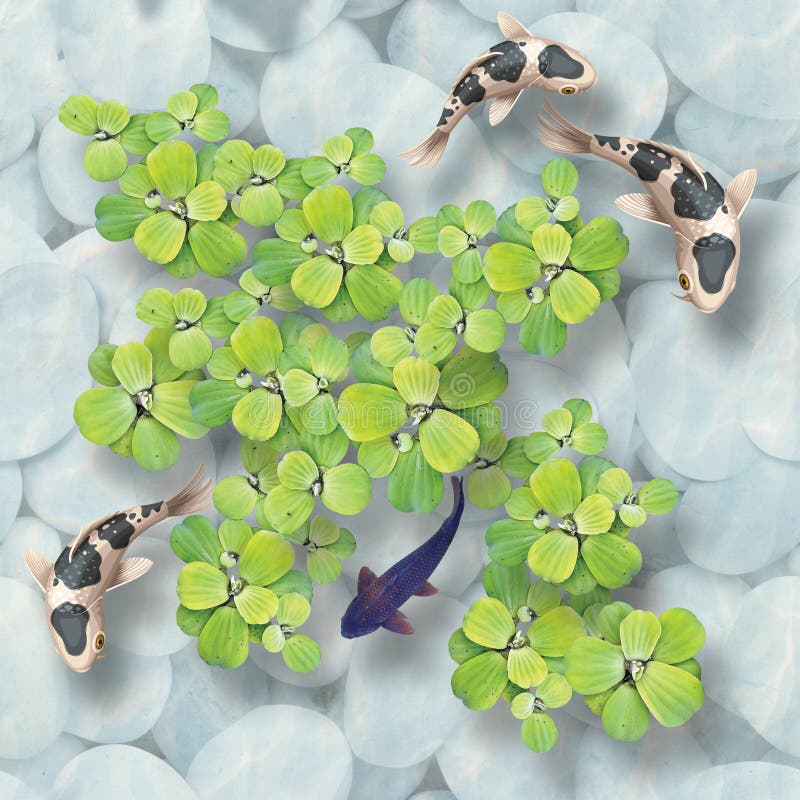 Koi Fish Top View Stock Illustrations – 281 Koi Fish Top View Stock ...