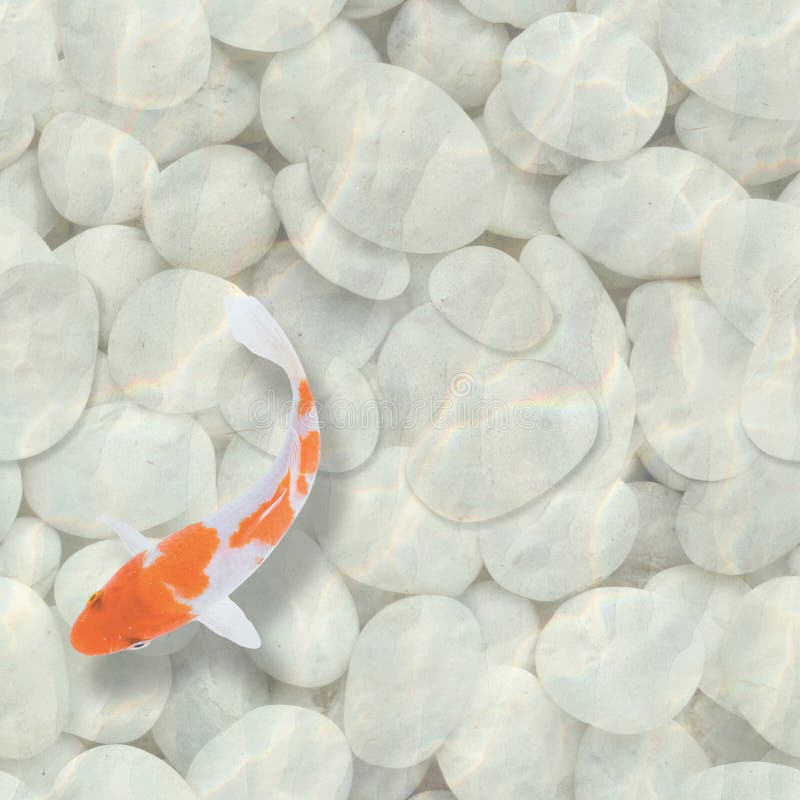 3D Floor Tiles Design, Beautiful Koi Fish and Leaf Top View. Stock ...