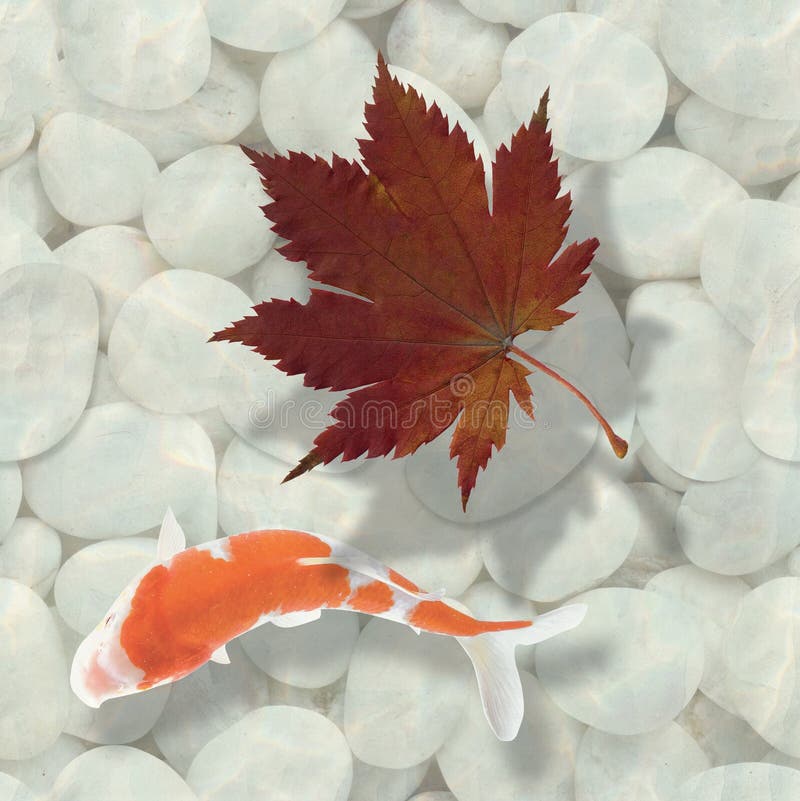 3D Floor Tiles Design, Beautiful Koi Fish and Leaf Top View. Stock ...