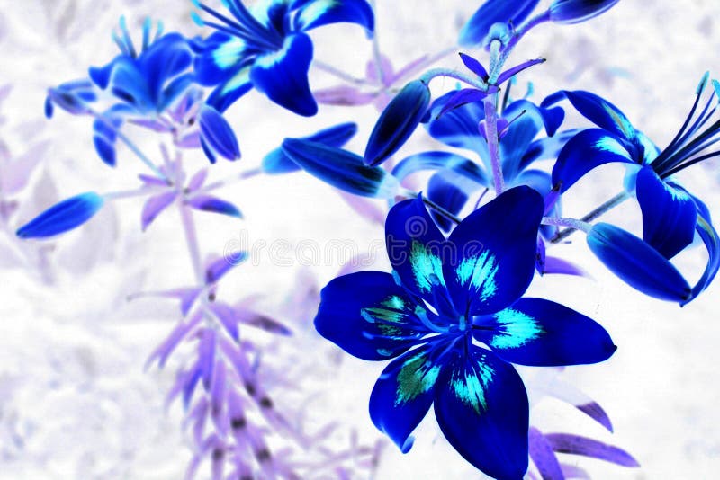 3d flower stock image. Image of flower, filter, plant - 81271453