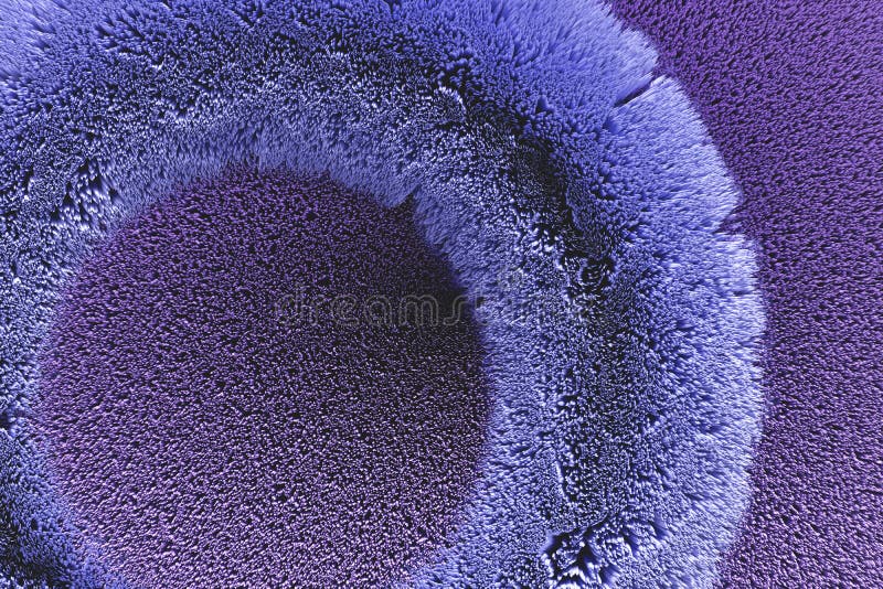 3d Fluffy Abstract Simple Background with Color of the Year Stock ...