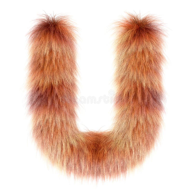 3d Fox Cartoon Funny Creative Fur Letter U Stock Photo - Image of ...