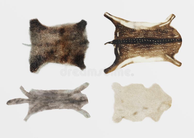 Djura Hudar För Samling Sex Vektor Illustrationer - Illustration av ...