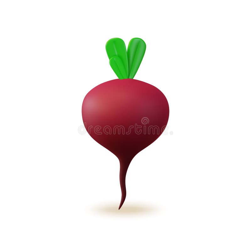 3d Fresh Vegetable Whole Beet Concept Cartoon Style. Vector Stock ...