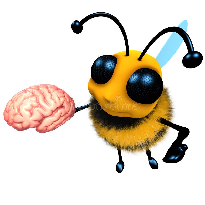 3d Funny Cartoon Honey Bee Character Holding a Human Brain Stock ...