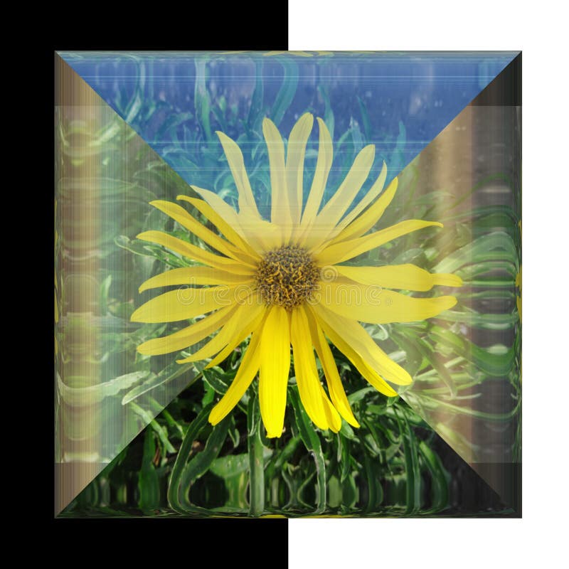 3D Glossy Square Button with Real Flower Stock Photo - Image of element ...