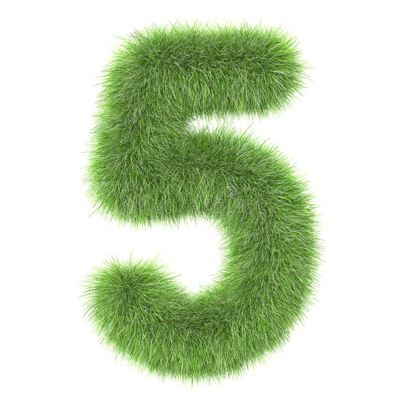 3d Grass Creative Cartoon Nature Decorative Number 5 Stock Illustration ...