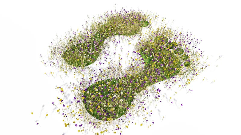 3D Grass Path Ecological Footprint on White Bg Stock Illustration ...