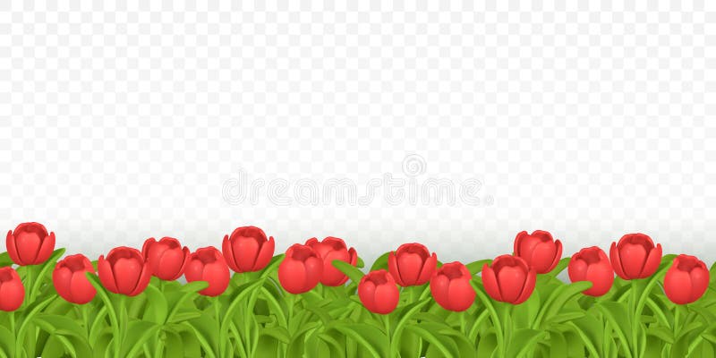 3d Green Grass Border, Colorful Spring Flower Tulip. Vector ...